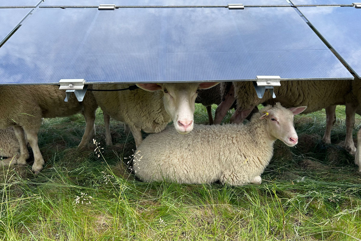 Release Details - Enbridge Inc.