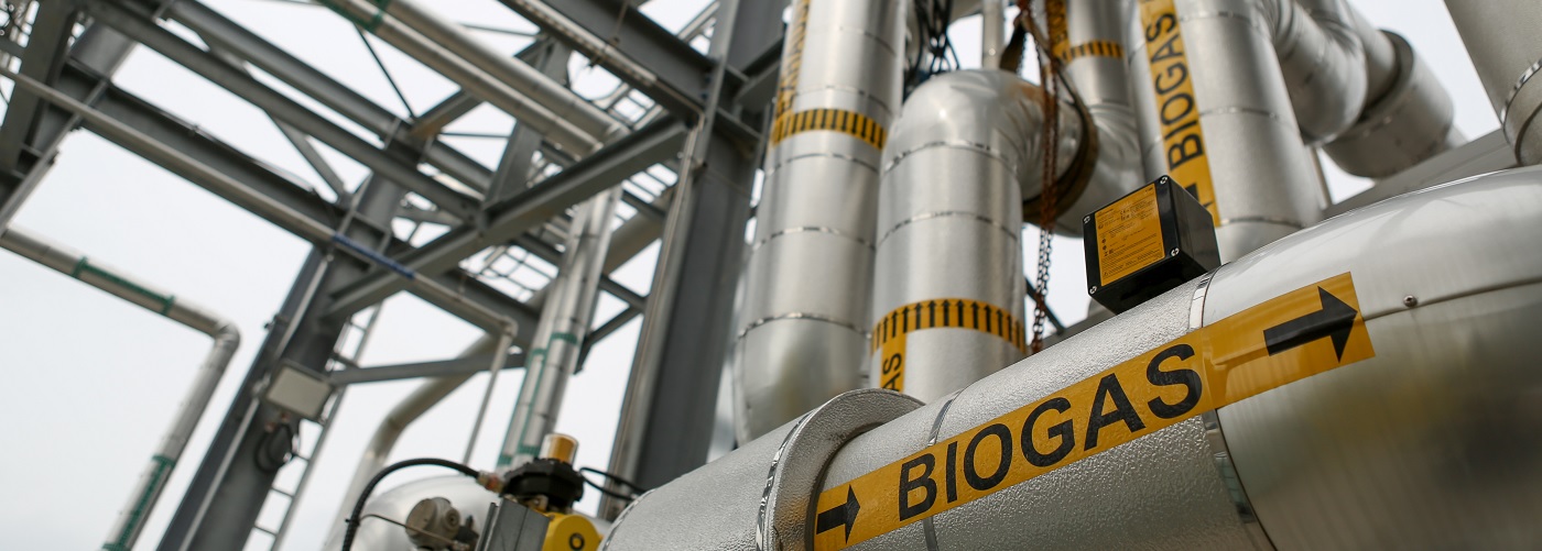 Enbridge and Renewable Natural Gas (RNG) - Enbridge Inc.