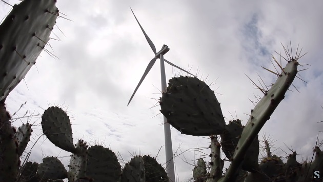 Keechi Wind Project media tour - Enbridge Inc.