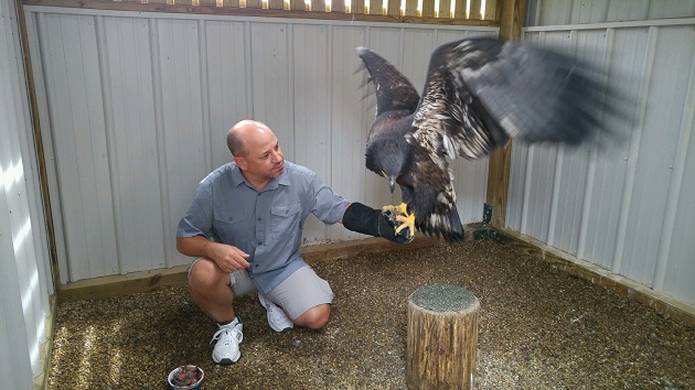 Illinois Raptor Center birds of prey rehabilitation - Enbridge Inc.